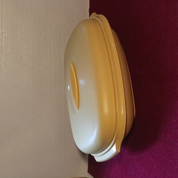 Tupperware | Kitchen | Golden Harvest Tupperware Vegetables Rice ...